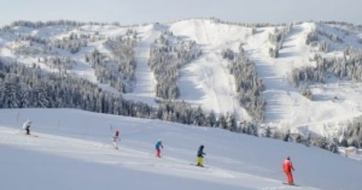 Free ride skiing in Les Gets – the best off piste adventures - Chalets1066